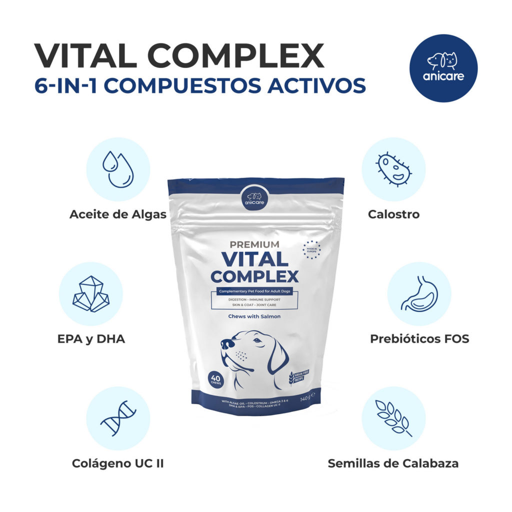 Premium Vital Complex para perros | Consejos Animales